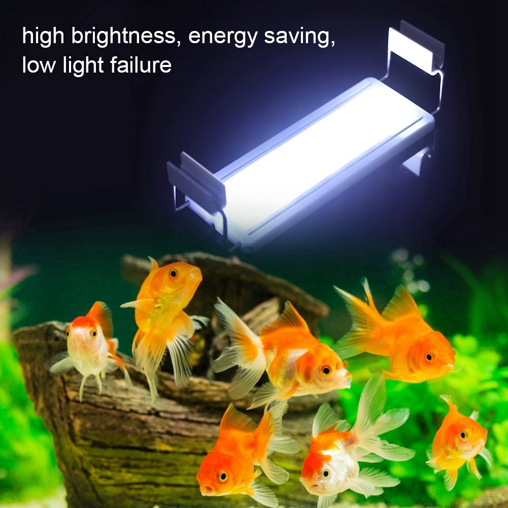 READY Clip-On Aquarium Mini LED Light Fish Tank Lamp EU Plug 220V XW5k ...