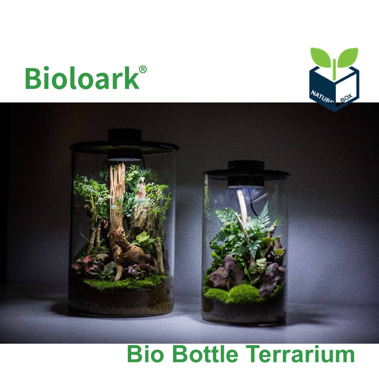 Bioloark PD Series (Biolark) (มีสินค้าพร้อมส่ง) ไบโอลาร์ค โหล Terrarium ...