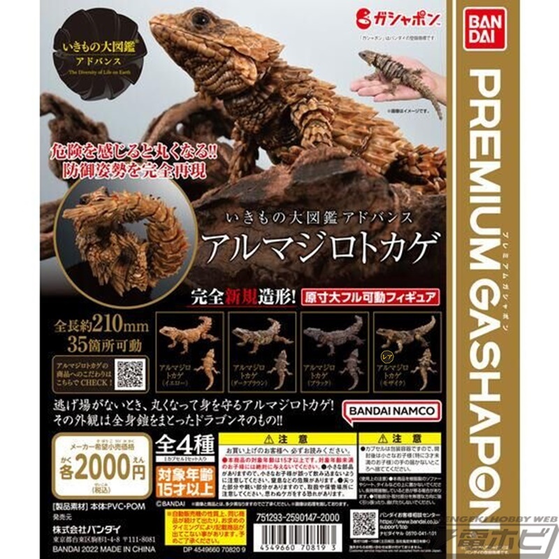 (มีของพร้อมส่ง) กาชาปองกิ้งก่ามังกร Gashapon Bandai Premium Armadillo ...