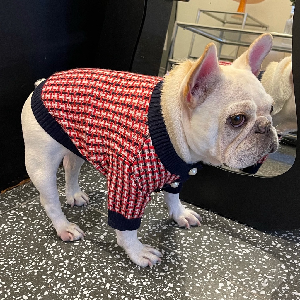 wLuxury Pet Dog Designer Clothes for Small Dogs Clothing French Bulldog ...