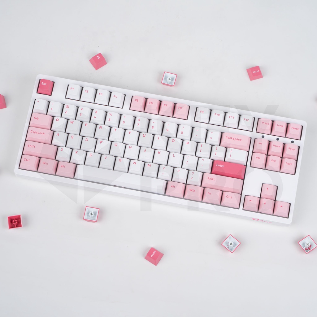 คีย์บอร์ด Akko 3087 Plus Prunus Lannesiana TKL 87 ปุ่ม Mechanical ...