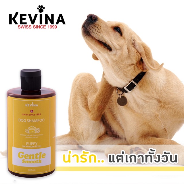 KEVINA แชมพูสำหรับน้อง????&???? 300ml เกรดพรีเมี่ยมที่ช่างตัดขนมืออาชีพ ...
