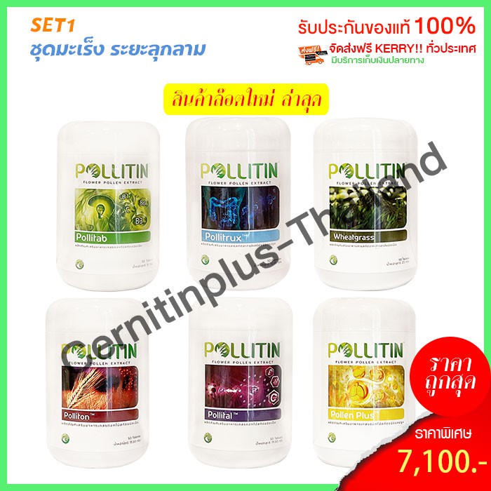 POLLITIN เซอร์นิติน Cernitin พอลลิติน เสริมภูมิคุ้มกัน ชุดสำหรับมะเร็ง ...