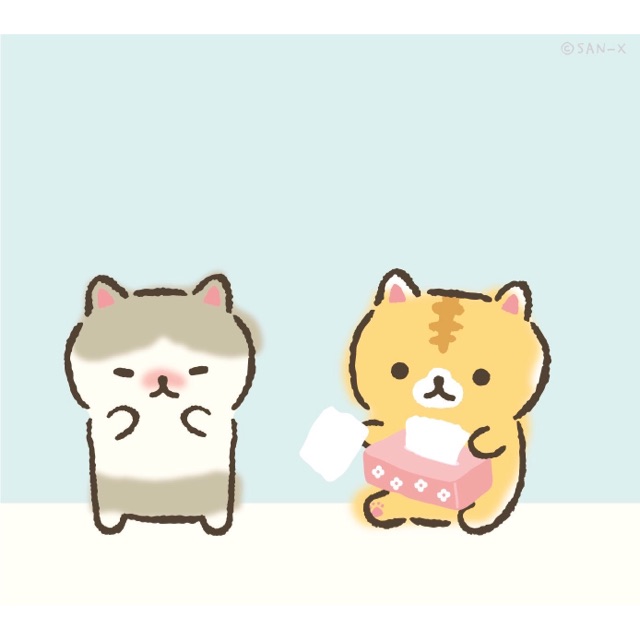 engoopit, ร้านค้าออนไลน์ | Shopee Thailand