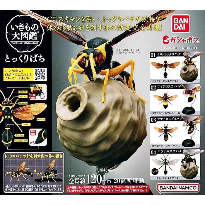 (ครบชุดพร้อมส่ง) กาชาปองตัวต่อ Gashapon Dango Mushi Suzumebachi Bandai ...