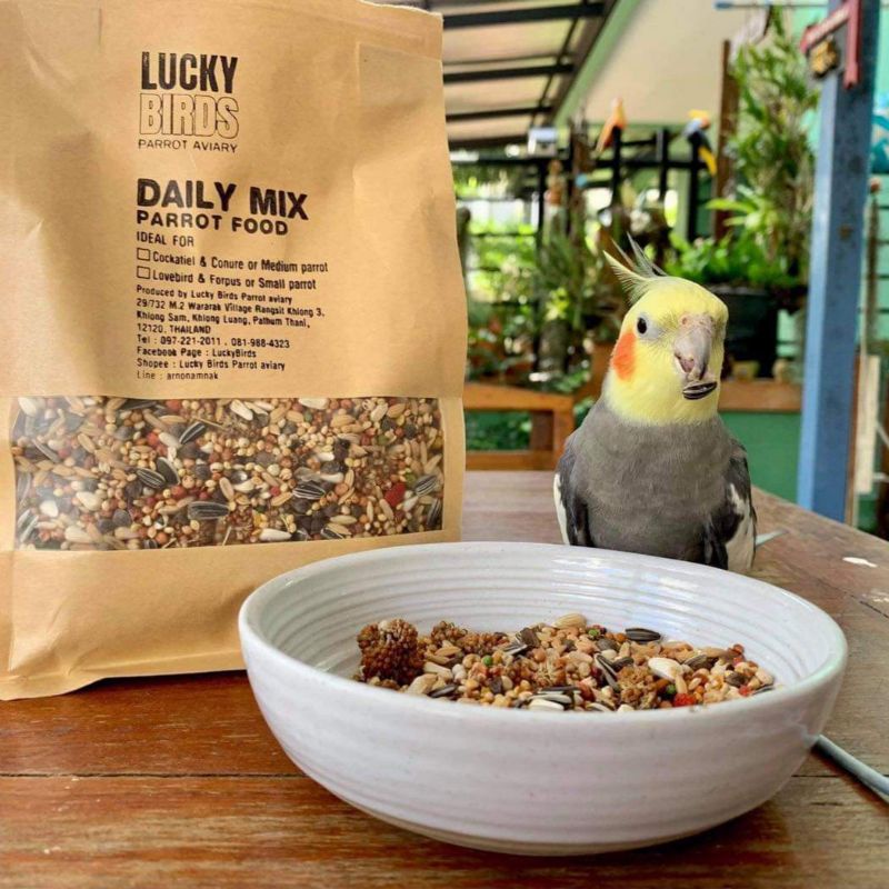 Lucky Birds Parrot aviary, ร้านค้าออนไลน์ | Shopee Thailand