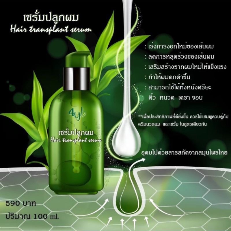 4YL Hair transplant serum 100 g เซรั่มสมุนไพรพร้อมส่ง - girlymeaw ...