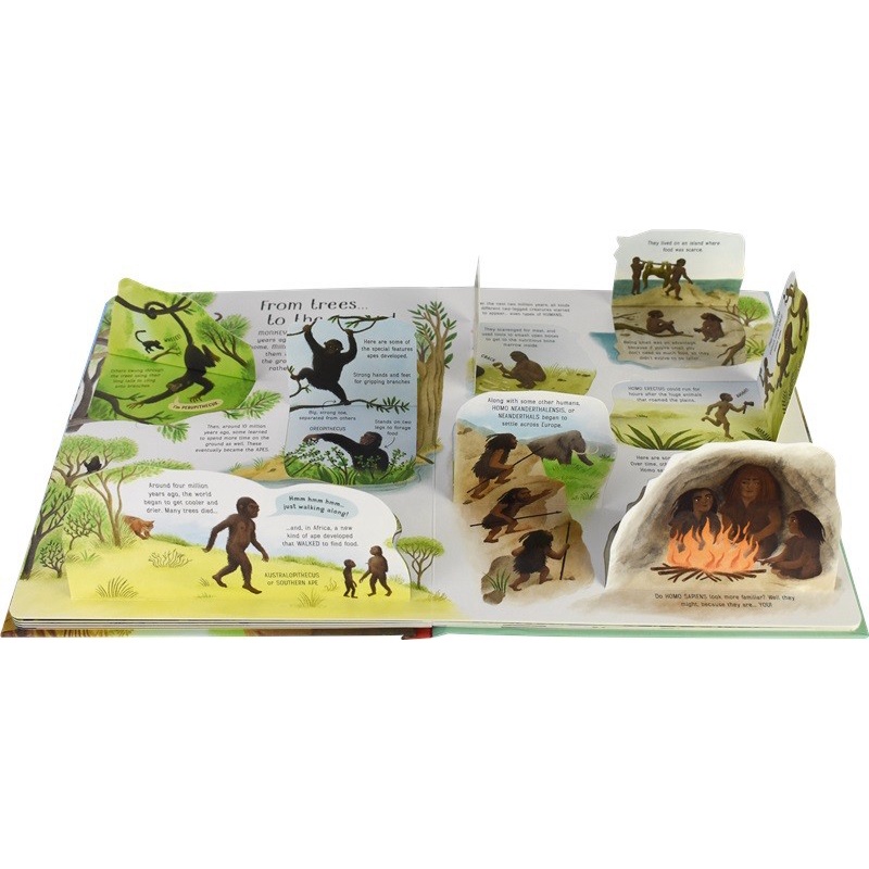 *มุมปกยับจากการขนส่ง* หนังสือบอร์ดบุ๊ค วิวัฒนาการสิ่งมีชีวิต Usborne See Inside Evolution ...