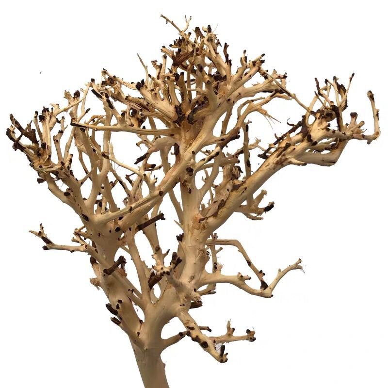 Wood Fish Tank Driftwood Natural Moss Tree Purple Teak Trunk Driftwood ...