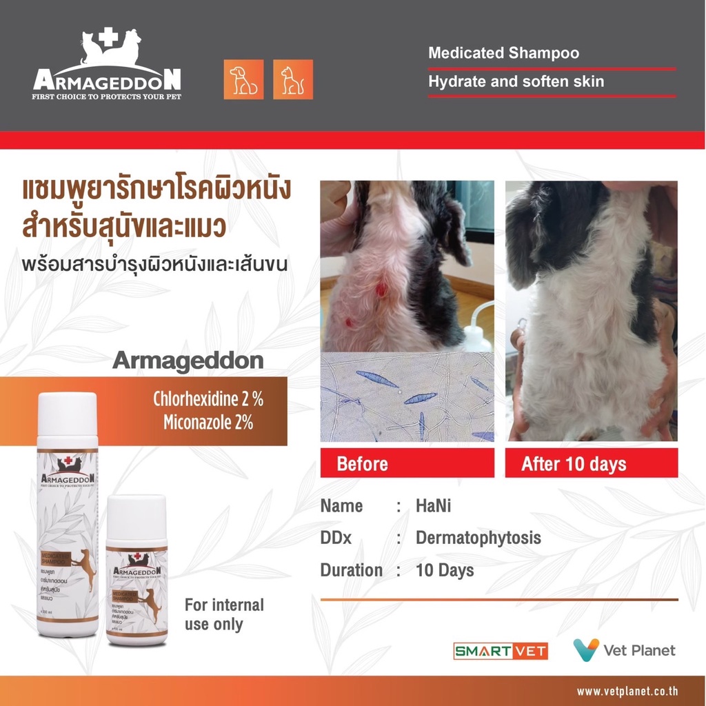 Armageddon Dog Shampoo แชมพูสุนัข แชมพูอาร์มาเกดดอน แชมพูผิวหนัง สำหรับ ...