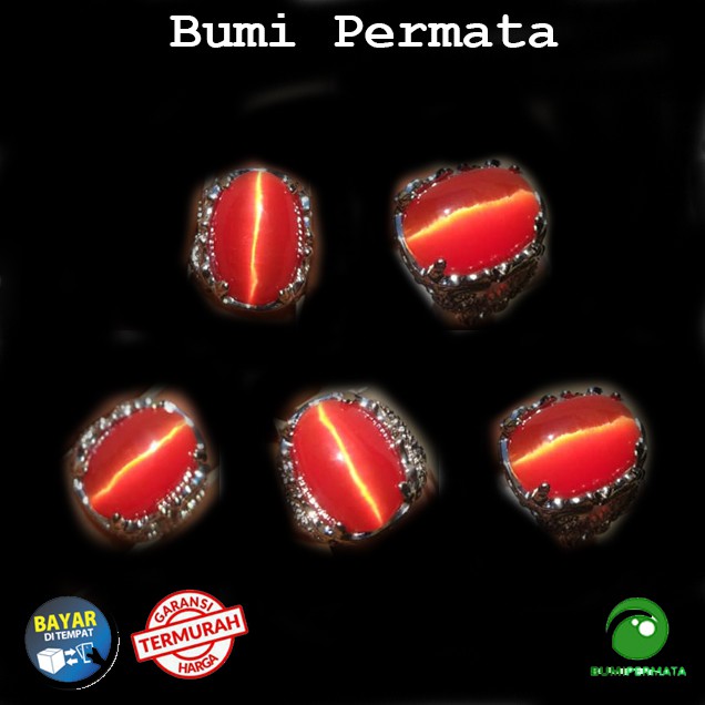 แหวน Cat Eye Agate สีแดงสําหรับผู้ชายผู้หญิง - bumipermata.th - ThaiPick