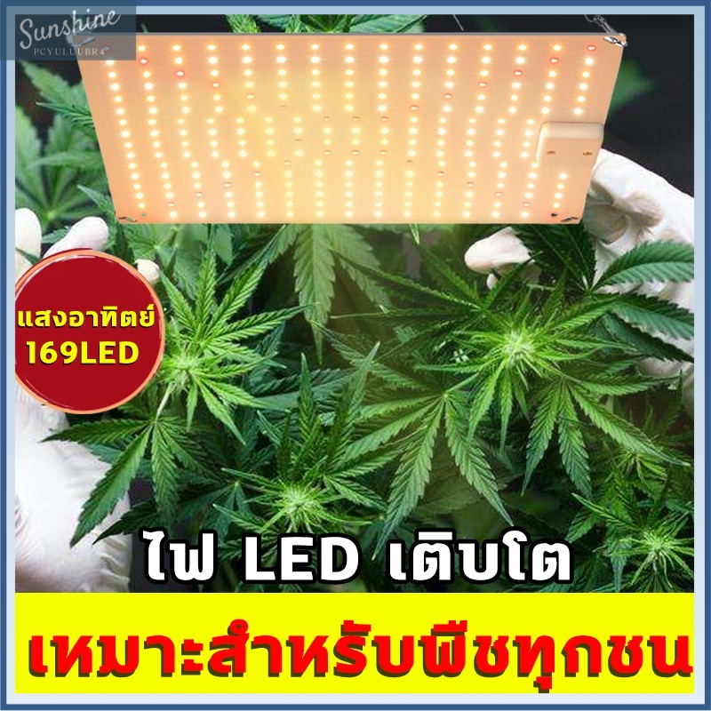 ไฟฉุกเฉินที่บ้านปิด แสงอาทิตย์ ชาร์จพลังงานแสงอาทิตย์ - ztr6x63onr - ThaiPick