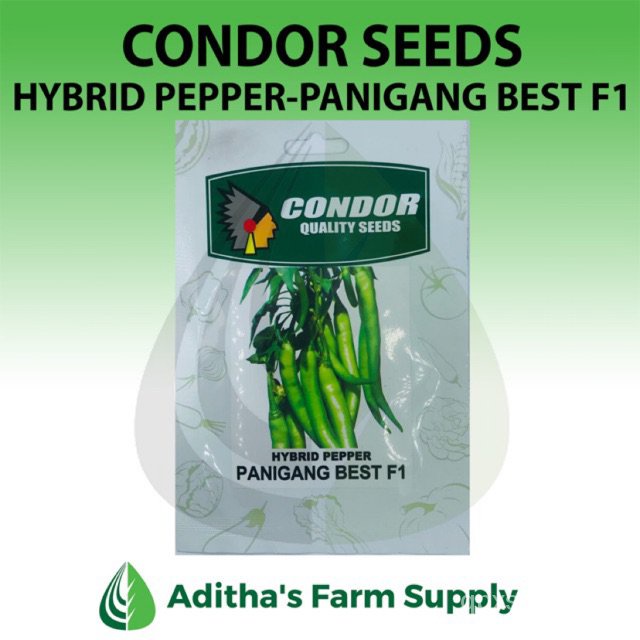 Condor Seeds - Panigang Best F1 (Long ChiliFinger Chili ...