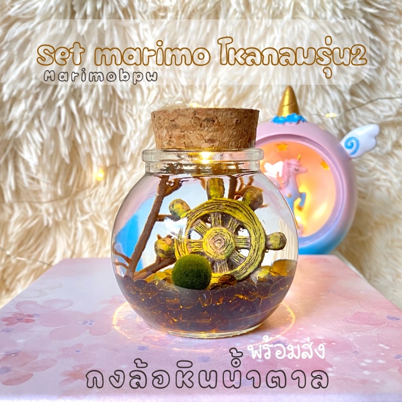 พร้อมส่ง set marimo โหลกลมรุ่น 2 - marimobpw - ThaiPick