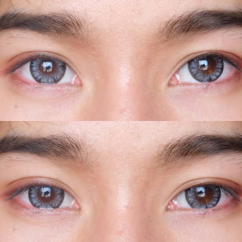 คอนแทคเลนส์Shimmer Chestnut Gray (Wink) ขนาดบิ๊กอาย - bigeyeloveyou ...