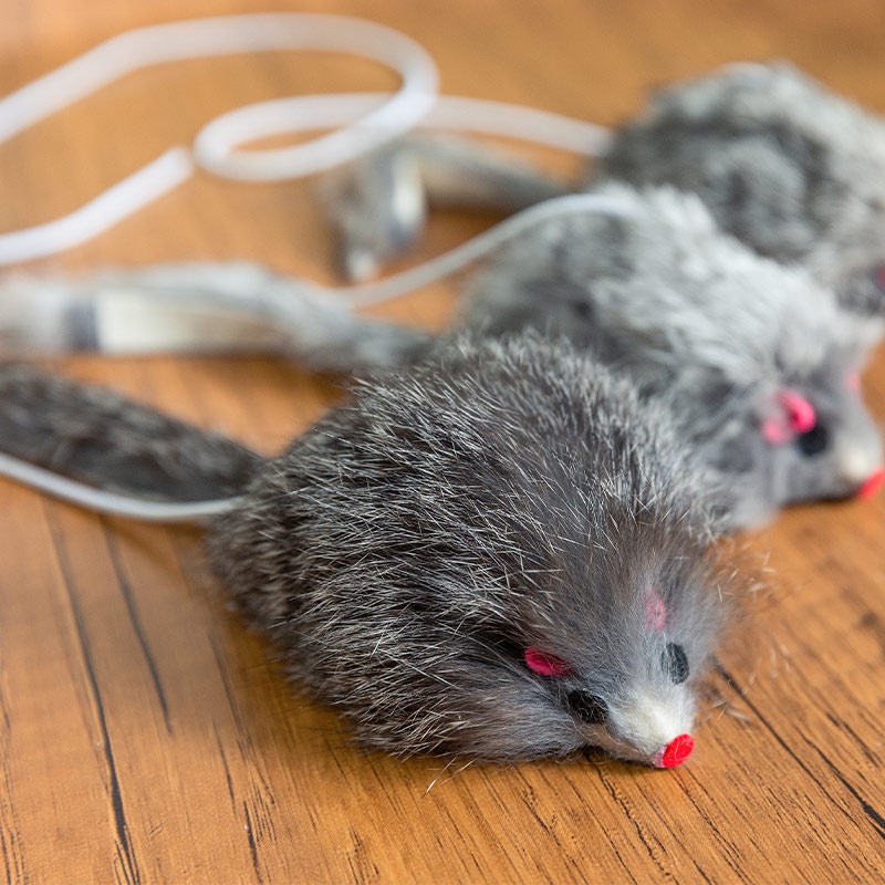 Cat And Dog Rope Knot Toy Cat Climbing Frame Can Hang Funny Cat Stick ...