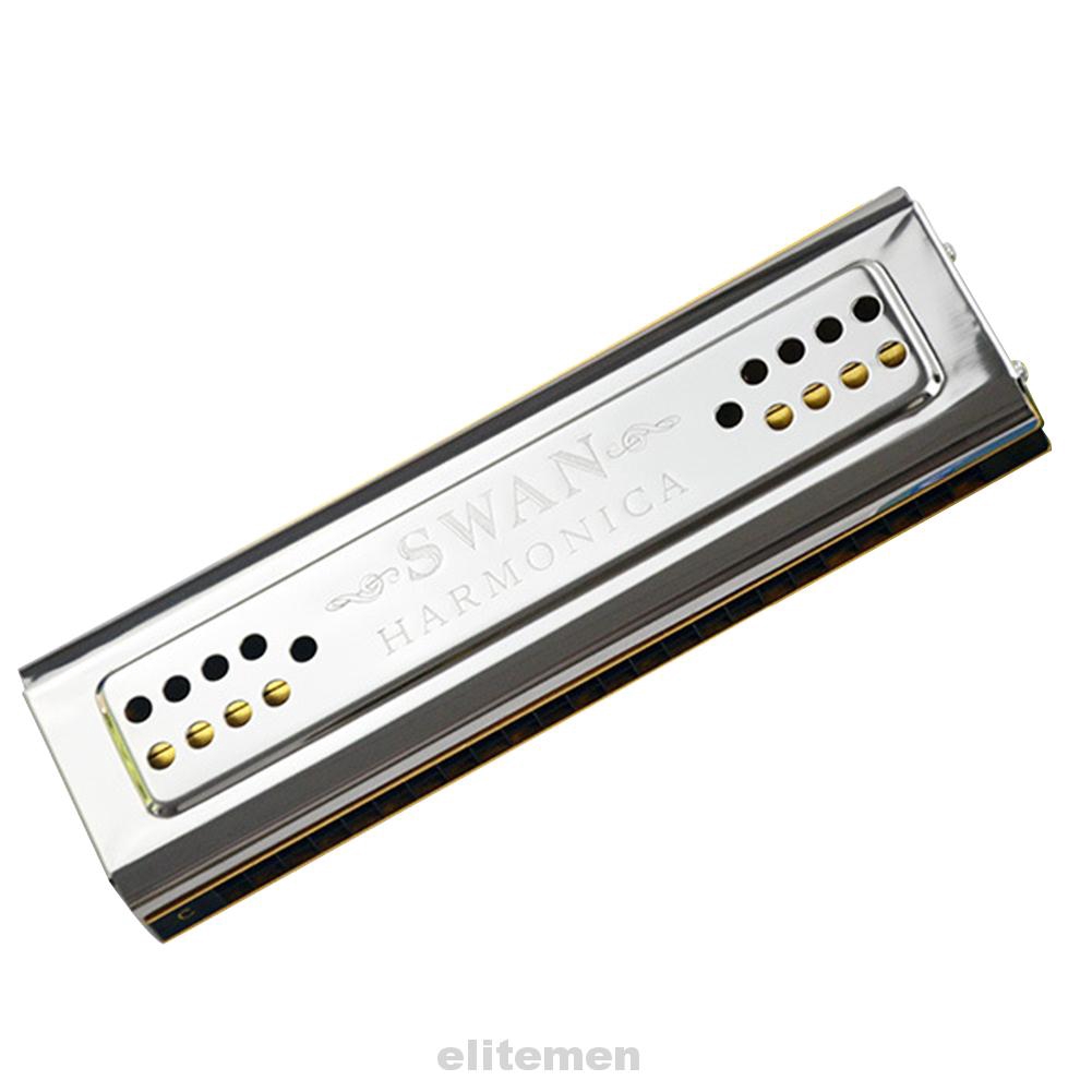 SW24 12A Professionals Daily Practice Resin Frets Copper Board Stage ...