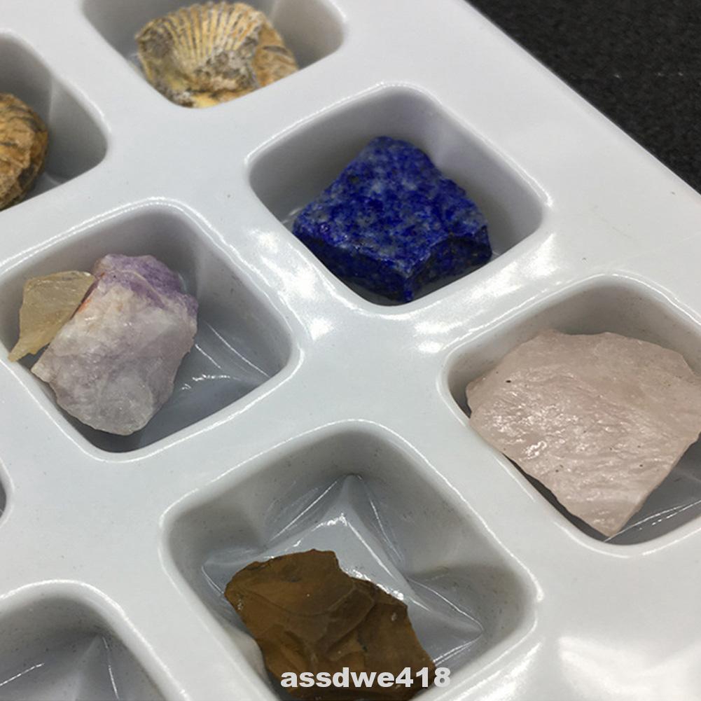Craft Durable Ornament Teaching Materials Useful Ore Set - assdwe418.th ...