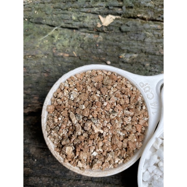 เพอไลท์ เวอมิคูไลท์ (3ลิตร) Perlite Vermiculite วัสดุปลูก ดินปลูก ผสม ...