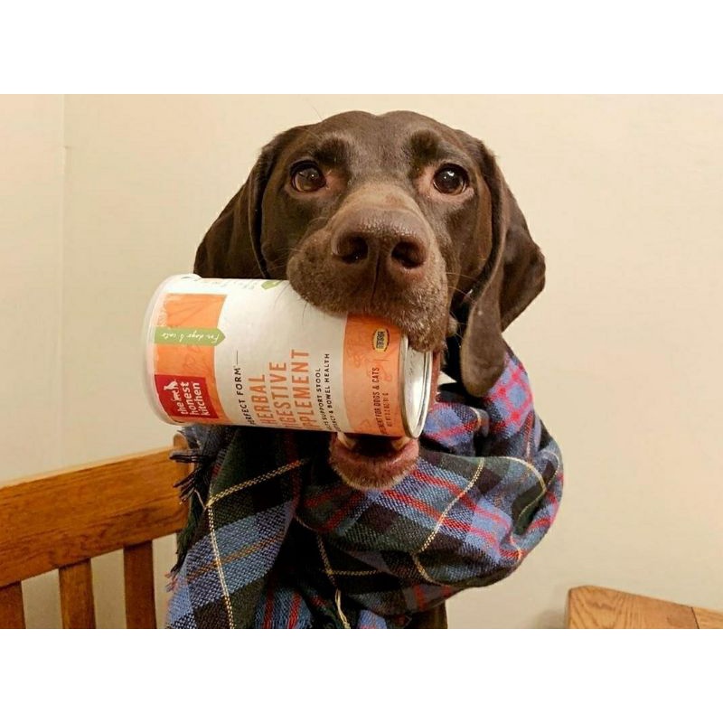 น้ำซุปสุนัขและแมว The Honest Kitchen Perfect Form Herbal Digestive Dog ...