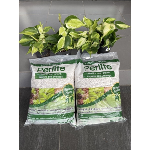 เพอร์ไลท์ (Perlite) เกรดพรีเมี่ยม ขนาด 3-6 MM. บรรจุถุงละ 450 กรัม ...