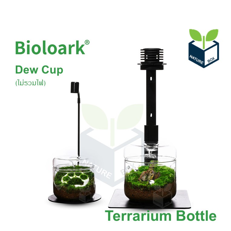 Bioloark Dew Cup Terrarium Bottle (Biolark) (มีสินค้าพร้อมส่ง) ไบโอลาร์ ...