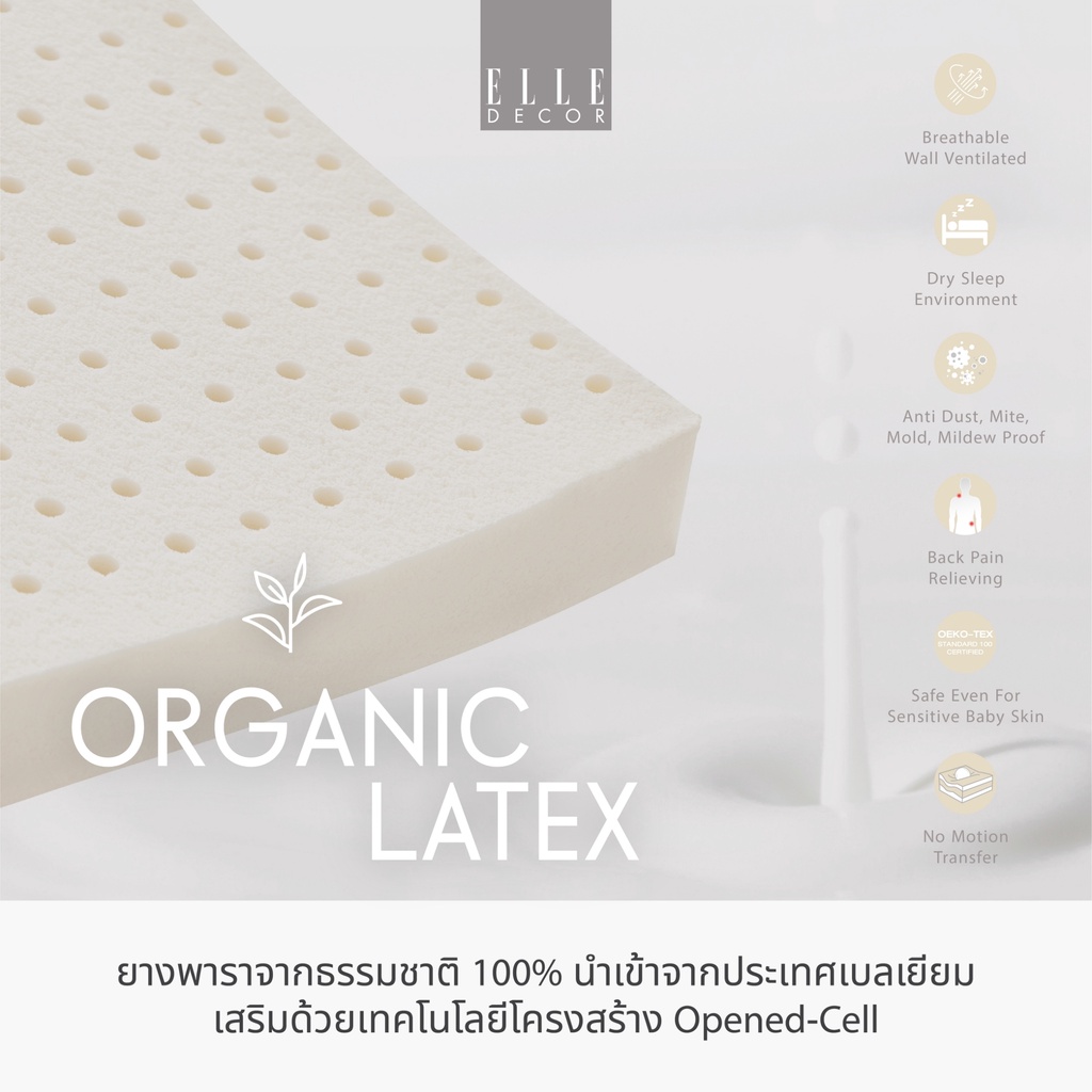 Elle Decor ที่นอนยางพาราแท้ 100 (สเปคแน่นสบาย) รุ่น Emilie Basic หนา 8 นิ้ว ฟรีของสมนาคุณตามขนาด ...