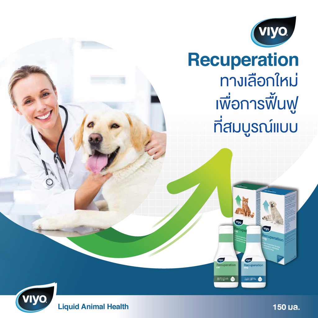 (ของแท้) Viyo Recuperation Dog วีโย่ รีคิวเพอเรชั่น สำหรับสุนัข สูตรน้ำ ...