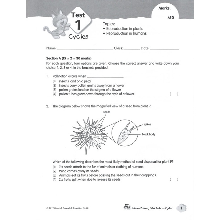 My Pals Are Here Science Tests P5 P6 (3E) - bcn_boonchana - ThaiPick