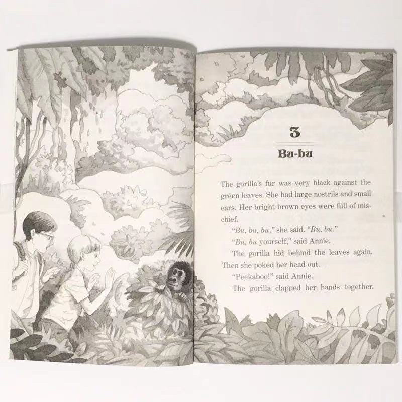 The Magic Tree House Season 1 Chapter Books Ages 7-10 - kidsbookcm - ThaiPick
