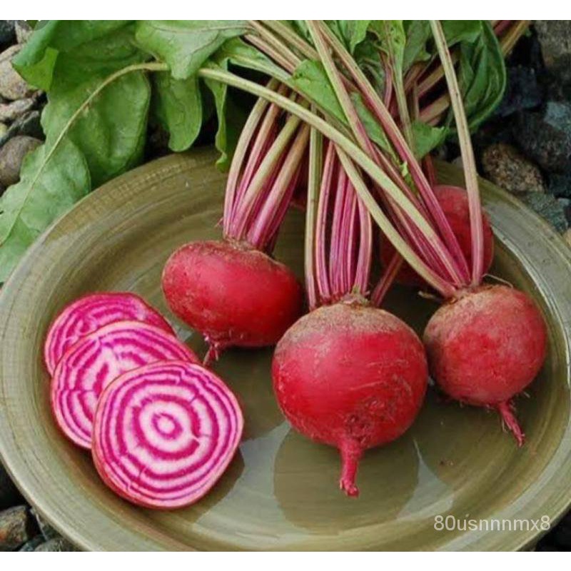 เมล็ดพันธุ์ ถูก คละเมล็ดพันธุ์ บีทรูท Beetroot Seeds Red Beet Vegetable ...