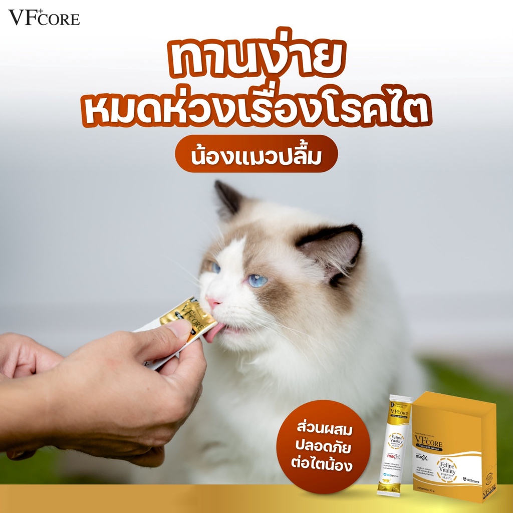 VF core Feline Vitality อาหารเสริม แมว ขนมแมวเลีย สูตรสีทอง วิตามินรวม ...
