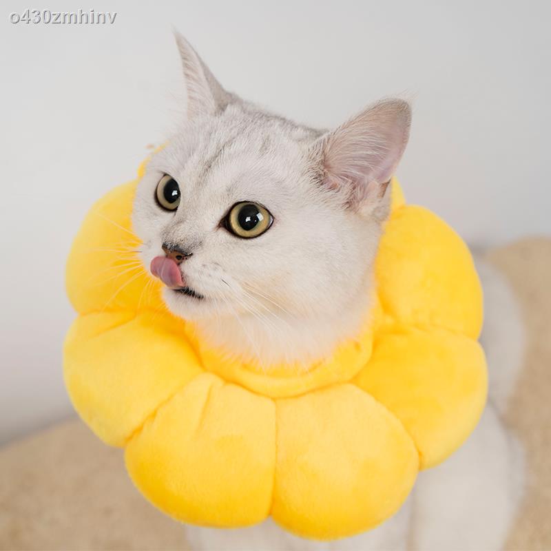 Cat Elizabeth ring soft cat headgear ป้องกันการเลียและกัดฆ่าเชื้อแหวน ...
