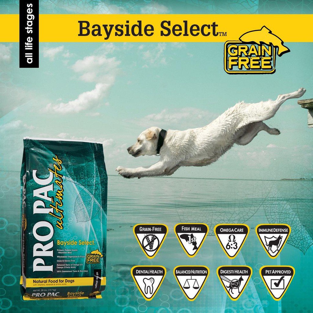 Pro Pac Bayside Select Holistic Dog Food White Fish Grain-Free For All Life Stages Dogs (2.5 Kg ...