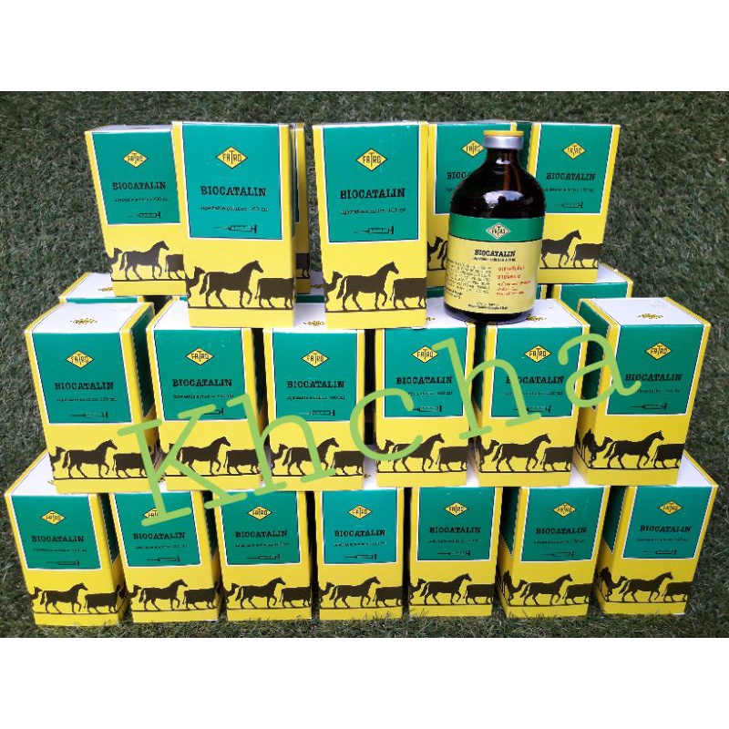 ไบโอคาตาลิน Biocatalin 100ml. วิตามินบำรุงร่างกายสำหรับสัตว์ - big ...