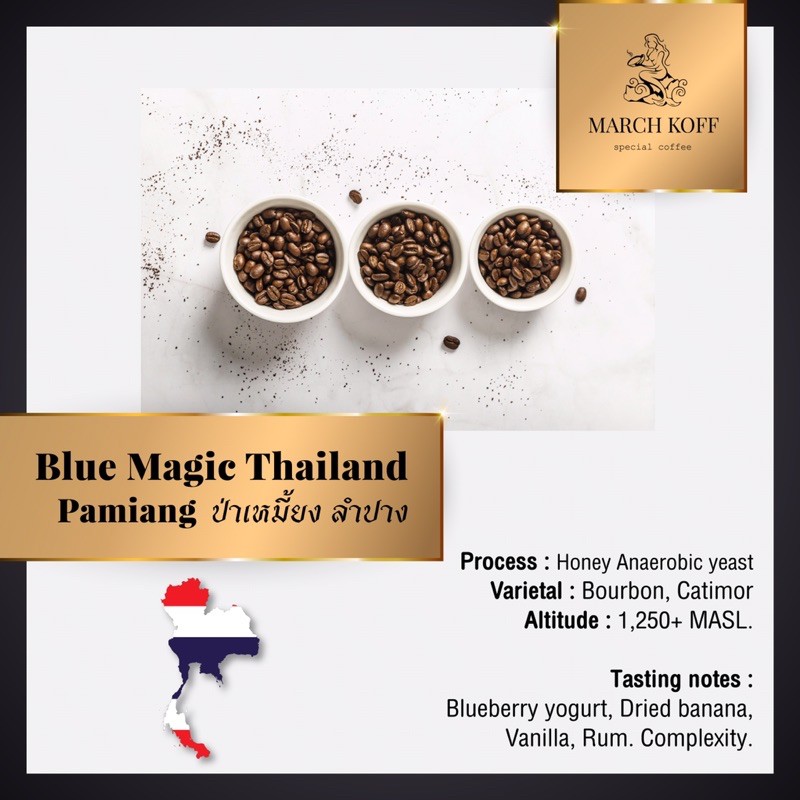 Blue magic pa miang ป่าเหมี้ยง ลำปาง - marchmut - ThaiPick