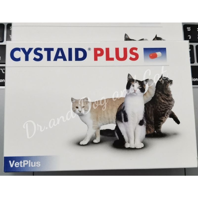 Cystaid Plus CAT (30 แคปซูล) อาหารเสริมแมว โรคระบบทางเดินปัสสาวะ ของแท้ ...