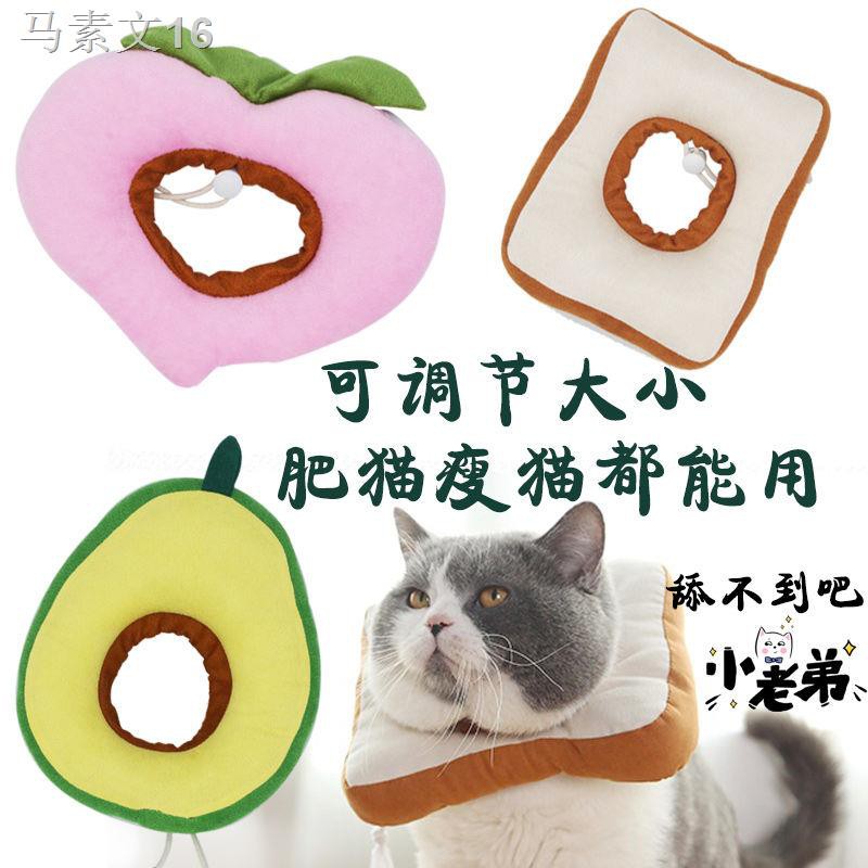 Cat Elizabeth laps sterilization supplies collar licking the soft cloth ...