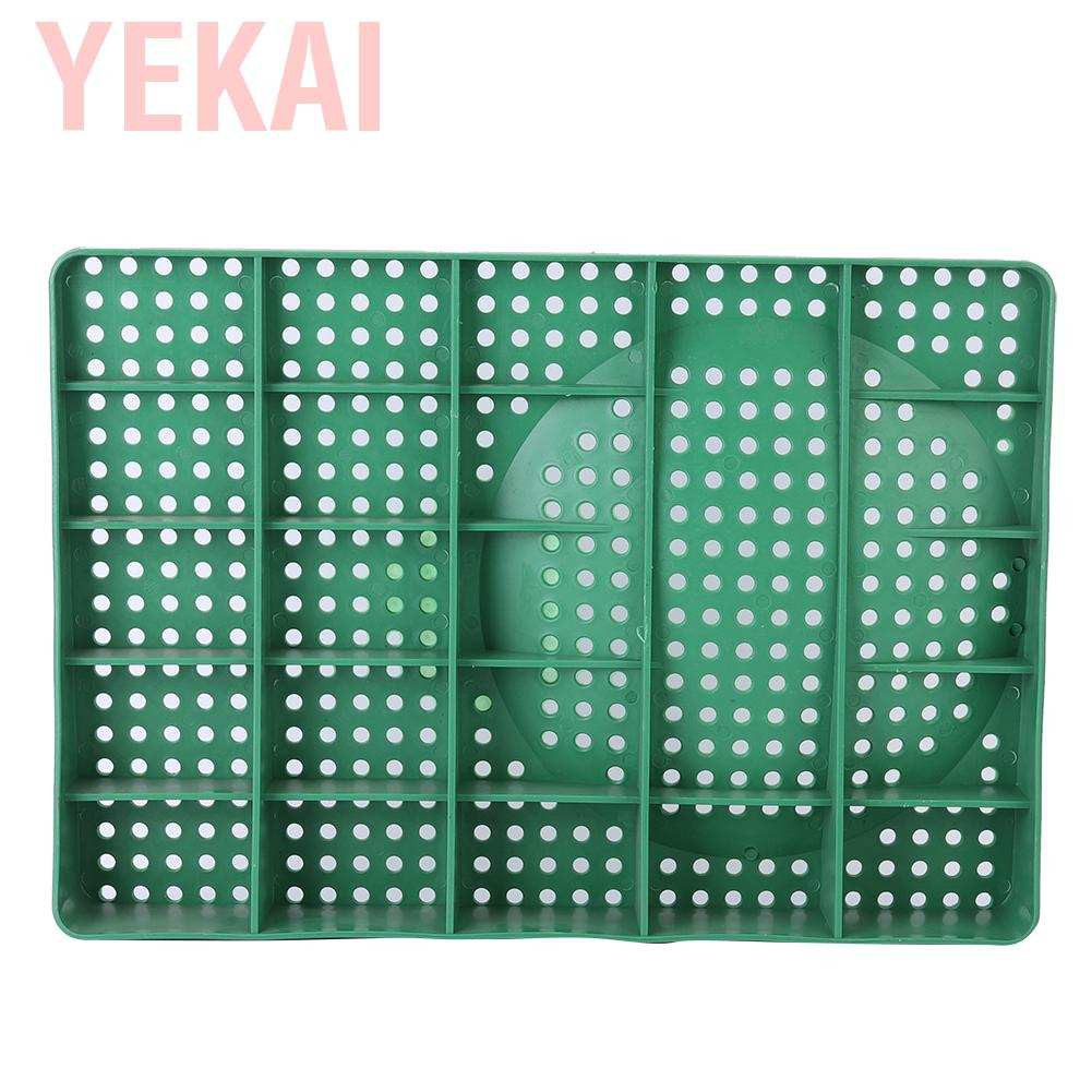 Yekai แผ่นกันกัดสําหรับสัตว์เลี้ยง - yekai.th - ThaiPick