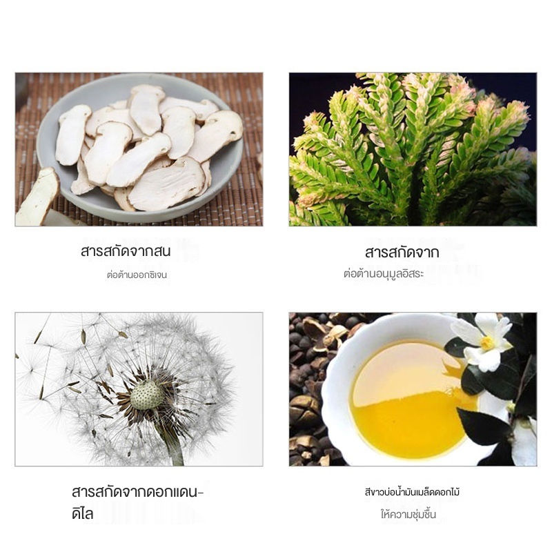 100 plant extract liquid foundation 30g คอนซีลเลอร์ moisturizing ...