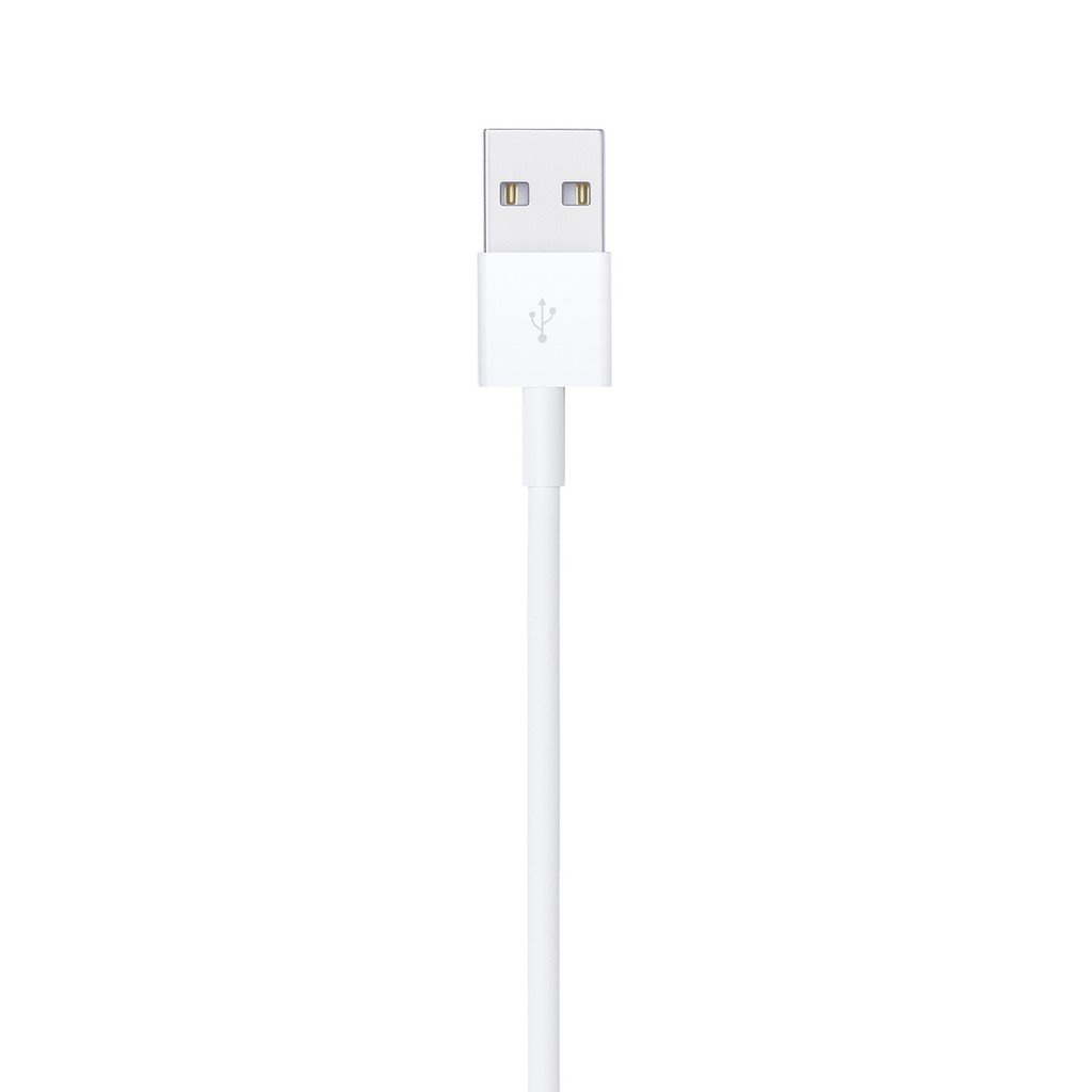 Lightning Cable to USB MFI for iPad iPod Pro Max 7 8 Plus 5gaN - 192 ...