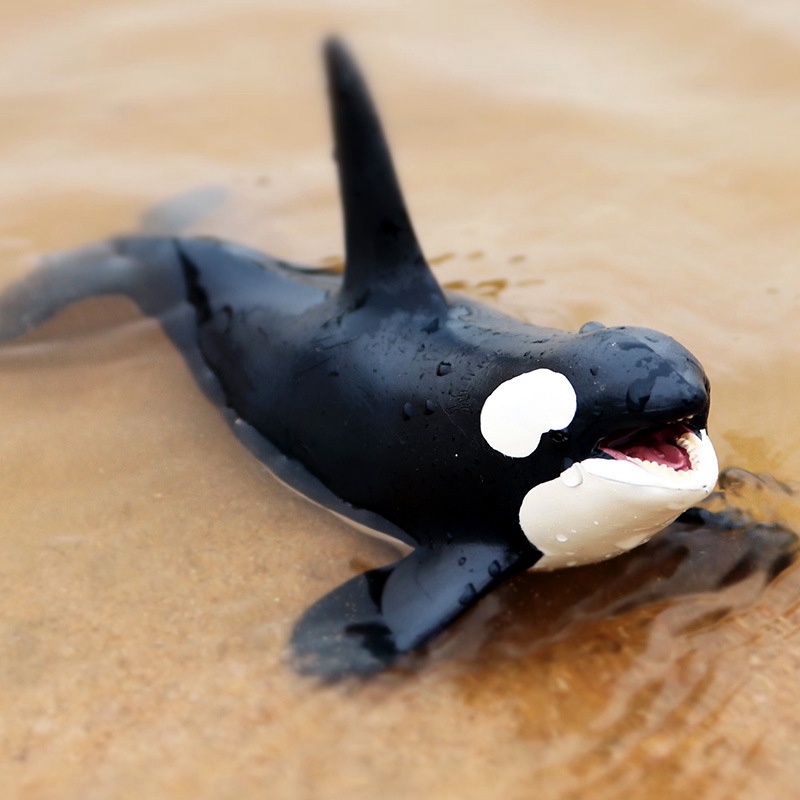 ﹉Sea Life Animals Killer Whale Model Action Figures Pvc & Simulation ...