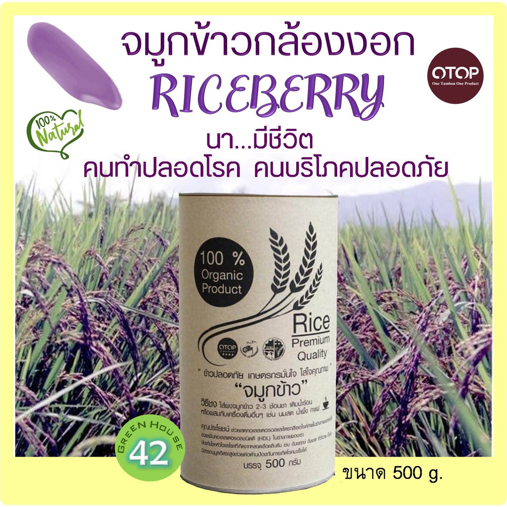 (ขายส่ง pack 3) #OTOP จมูกข้าว Riceberry 100% จมูกข้าวไรซ์เบอรี่ ...