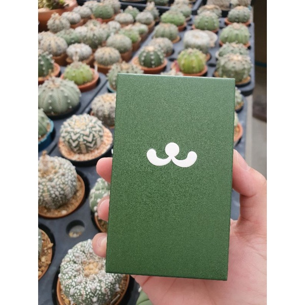 FORESTA Vegan Sunscreen SPF50 PA ครีมกันแดดสูตรวีแกน ไม่ทดลองกับสัตว์ ...