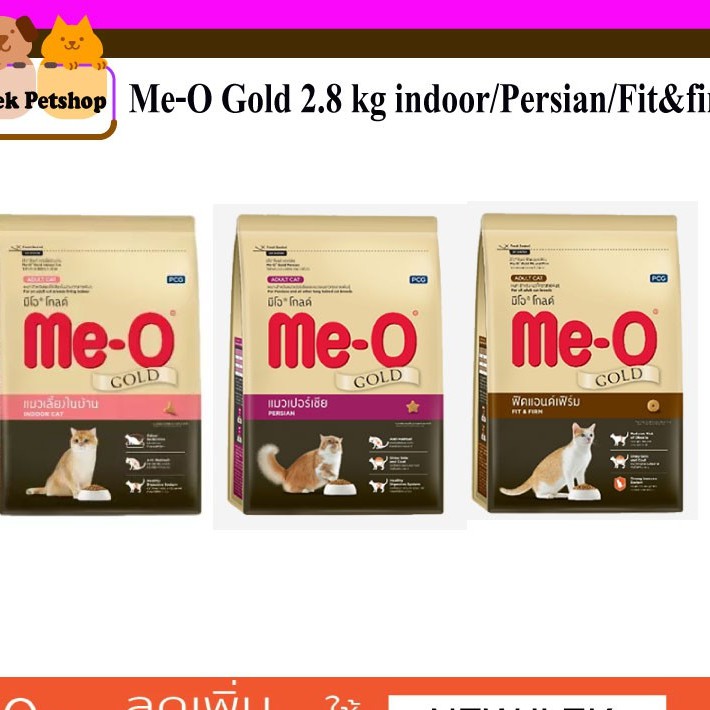 Meo Gold แมวเลี้ยงในบ้าน เปอร์เซีย ฟิตแอนด์เฟิร์ม มีโอ โกล 2.8kg ...