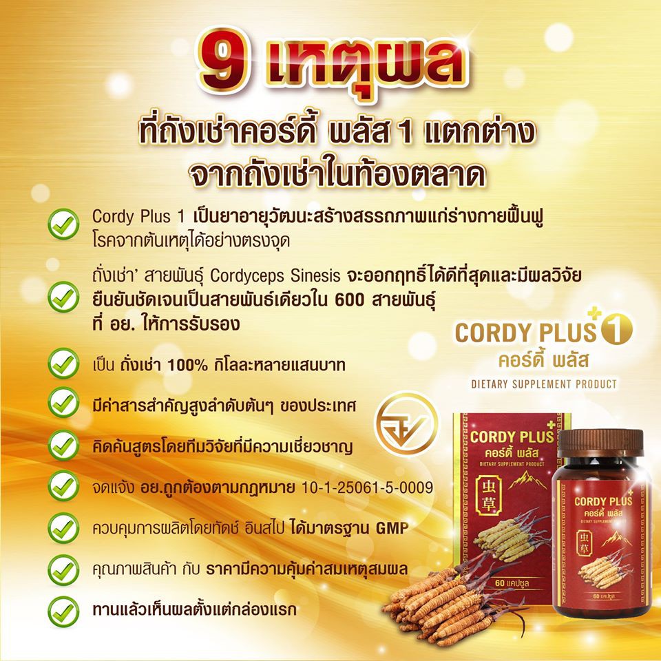 พร้อมส่ง????SALE ถั่งเช่าทิเบตแท้ Cordy Plus1 60แคปซูล 1กล่อง ราคาพิเศษ ...