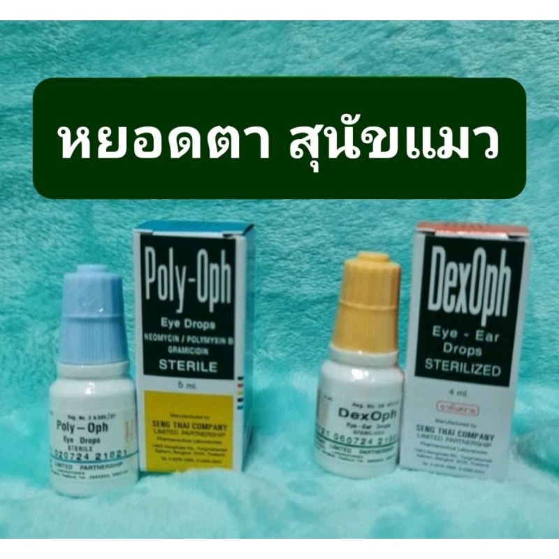 Poly-Oph Dex-Oph ยาตาสุนัข แมว วัว ควาย อาการตาอักเสบ เป็นแผล ตาฝ้า หู ...