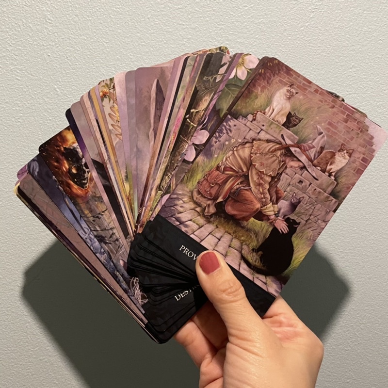 (มือสอง สภาพดี) ไพ่ออราเคิลพร้อมคู่มือ Ravens Wand Oracle By Steven ...