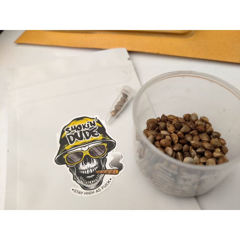 เมล็ดกัญชา KDKT เกาะเต่า100 - mr.highman - ThaiPick