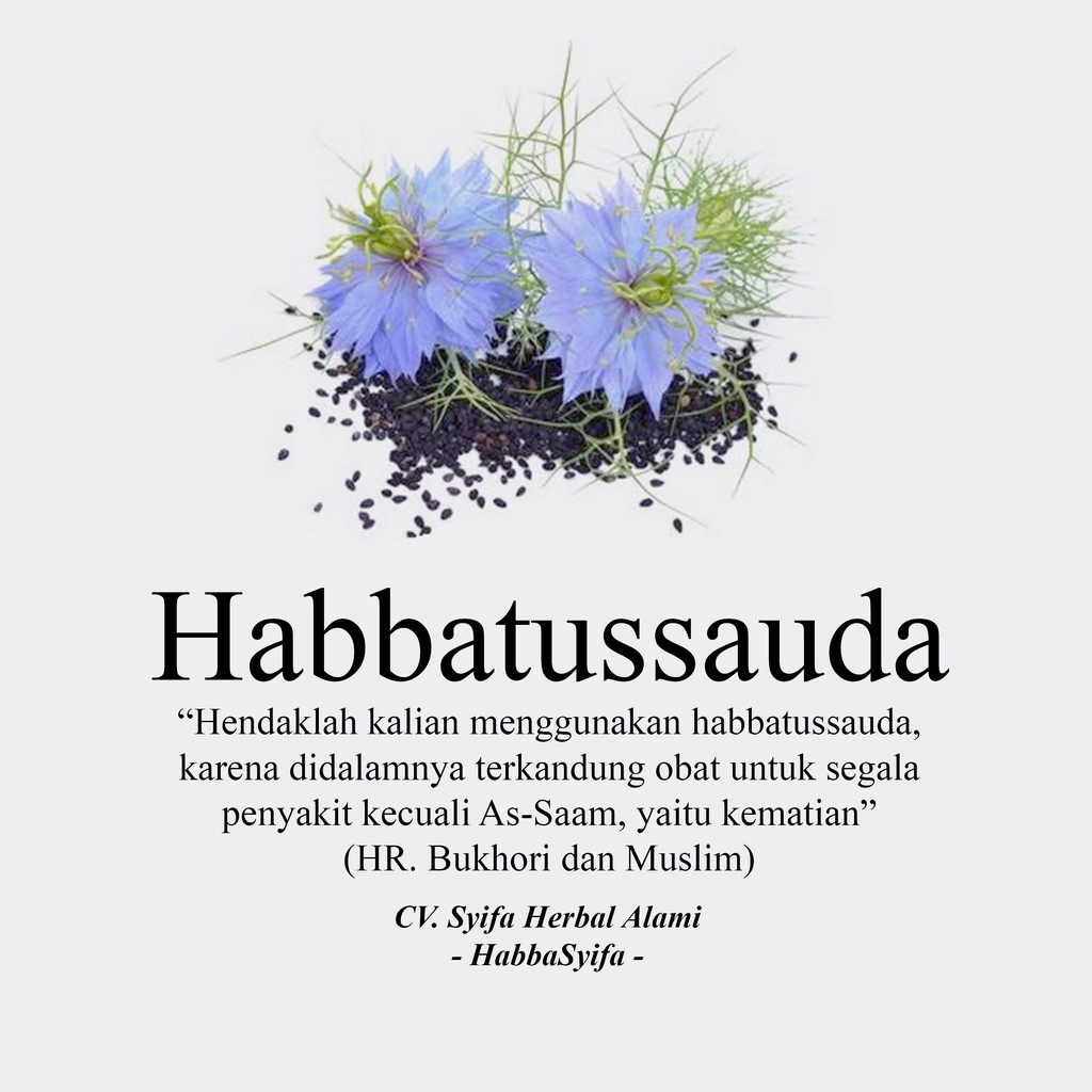 Al Madinah Organic Black Seed Oil & Olive Oil / Sauda Habbatus Oil ...